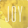 Visions of Joy Holiday Photo Cards | Paper Culture
