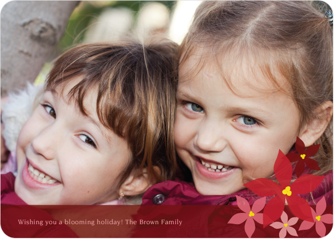 Poignant Poinsettia Holiday Photo Card | Paper Culture