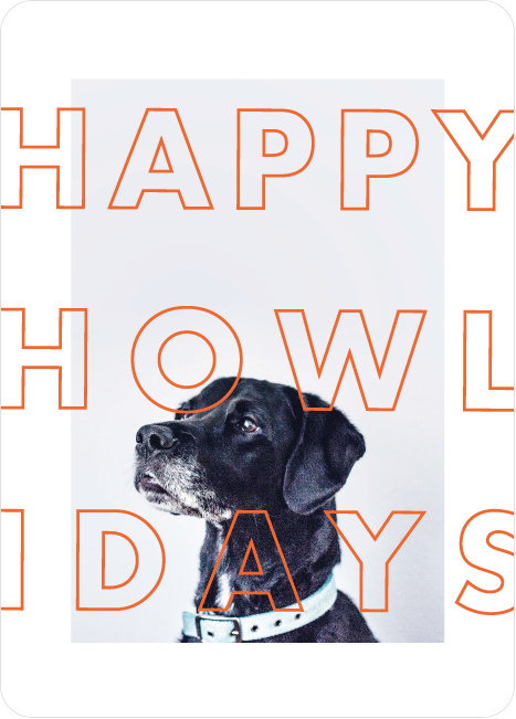 Happy Howlidays Multi Photo Holiday Cards | Paper Culture