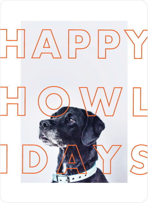 Happy Howlidays Multi Photo Holiday Cards | Paper Culture