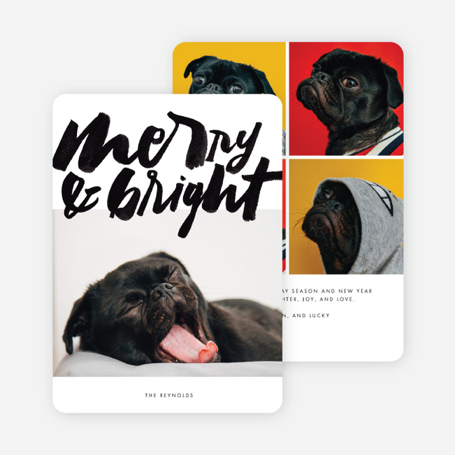 Merry Times Holiday Cards | Paper Culture