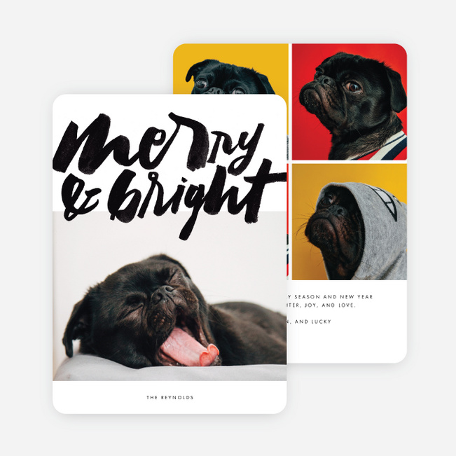 Merry Times Holiday Cards | Paper Culture