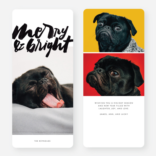 Merry Times Holiday Cards | Paper Culture