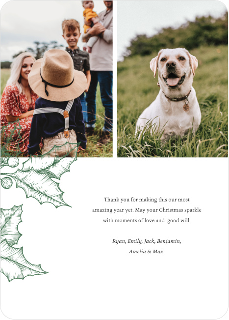 Holly Header Holiday Cards | Paper Culture