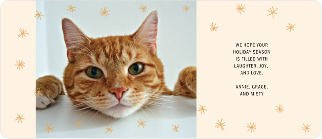 Merry Catmas Christmas Cards | Paper Culture