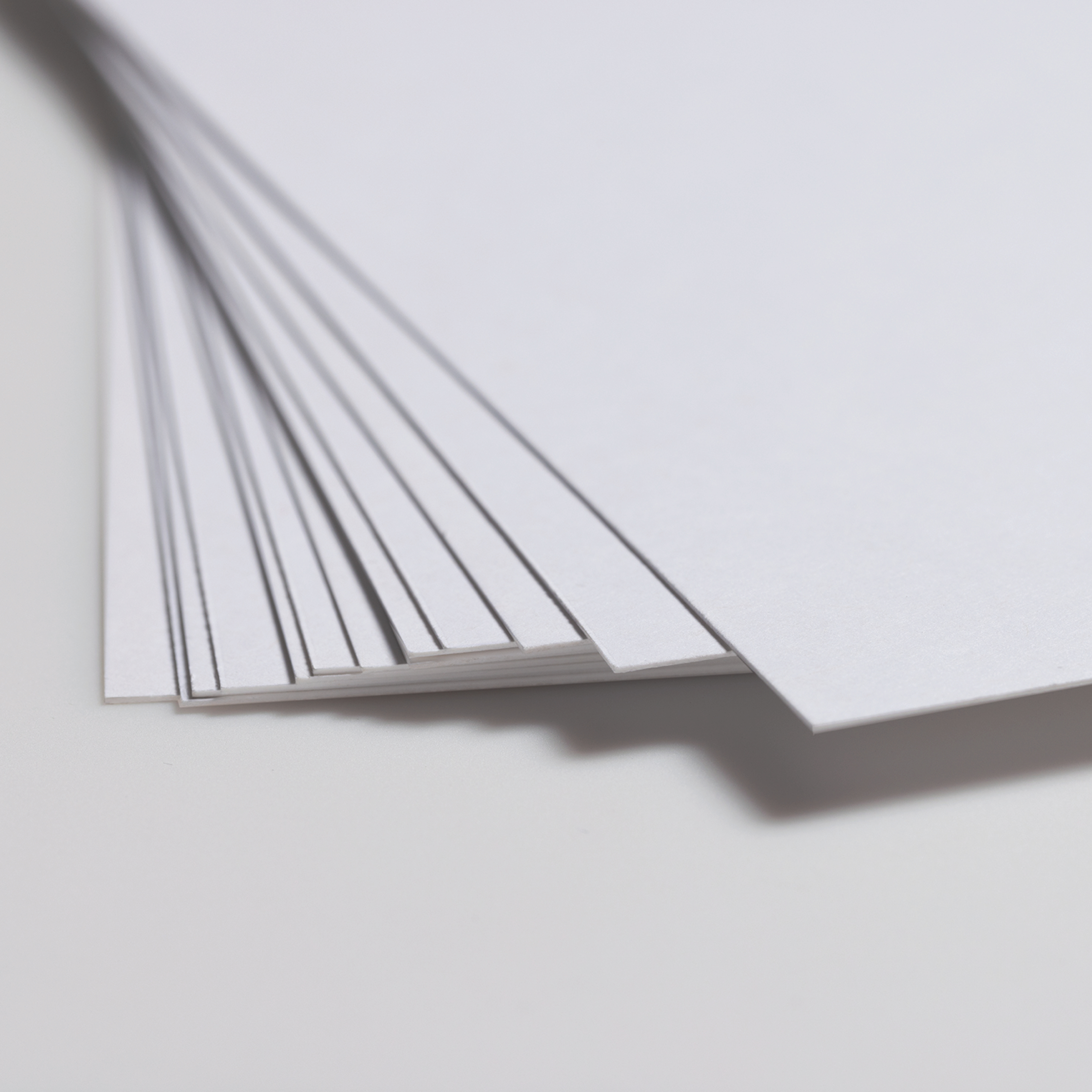 12x18 Enlargement Prints on Eco Paper – White Border (2 ct) | Paper Culture