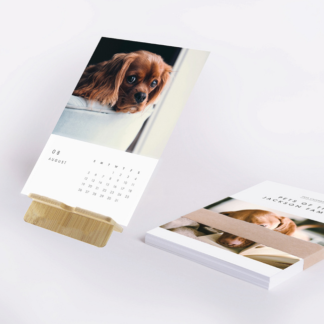 Pet Calendars: The Perfect Gifts | Paper Culture