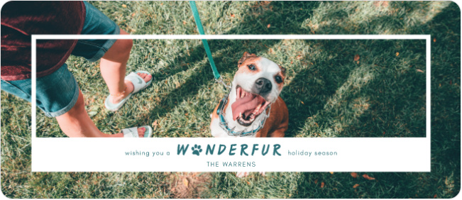 Wonderfur Season Holiday Cards and Invitations | Paper Culture