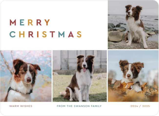 Bright Horizons Holiday Cards and Invitations | Paper Culture